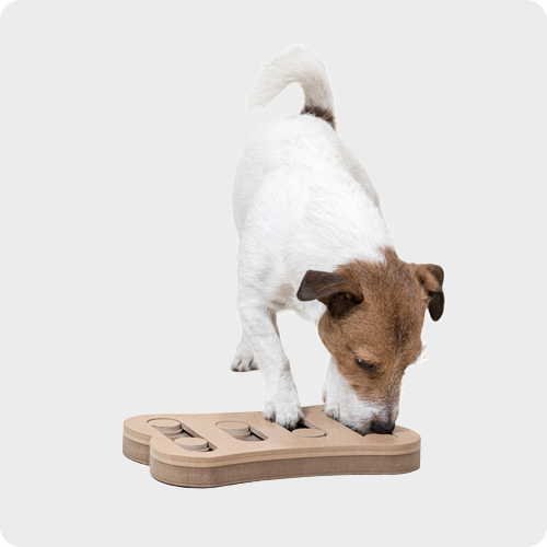 Interactive IQ Puzzle Dog Toys Teddys