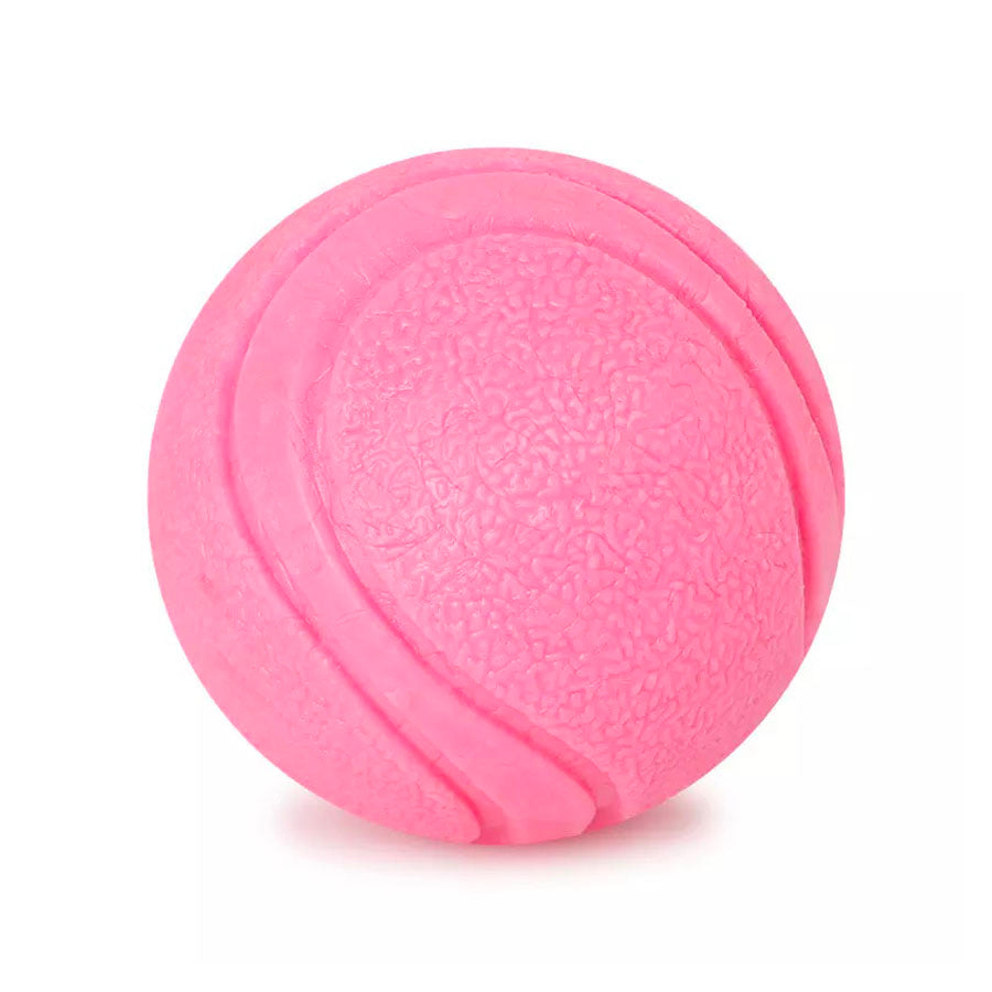 Dog Toys Treats and Accessories – Teddys